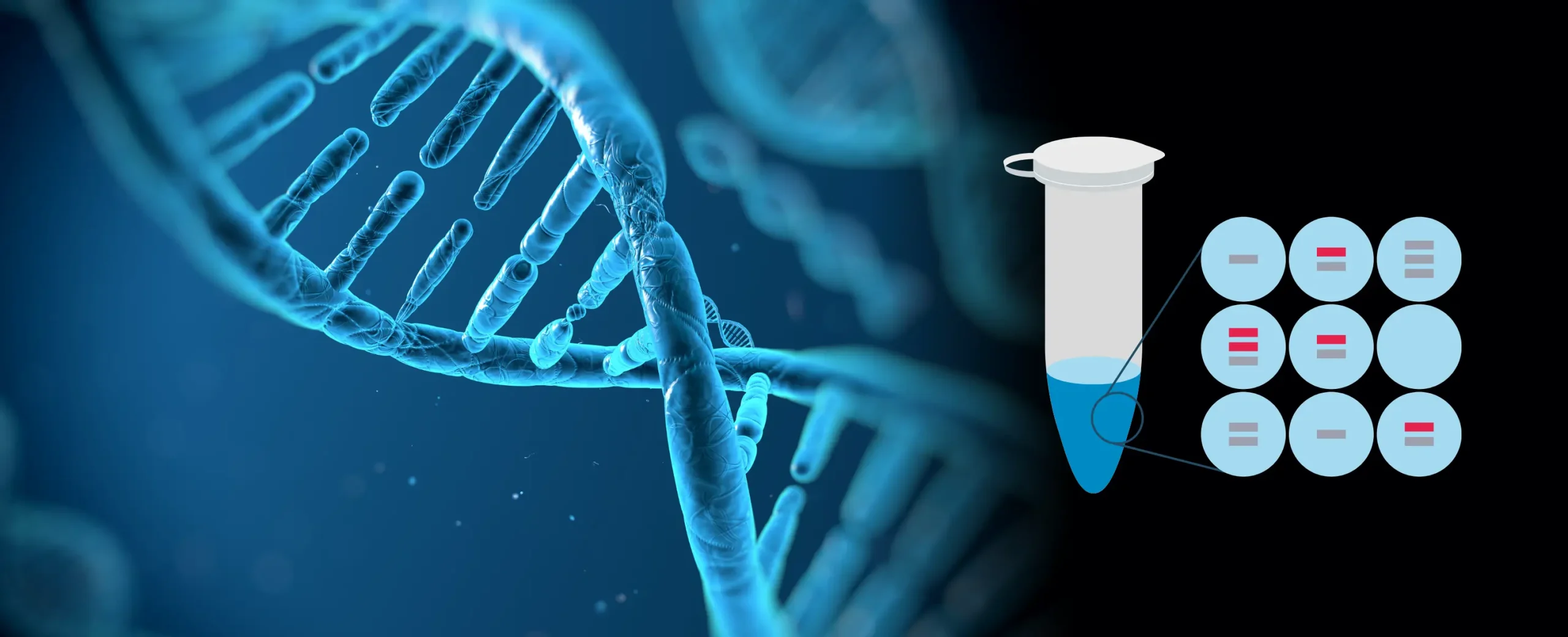 Digital PCR Workflows, Lab Tools & Funding Tips – Bitesize Bio Update